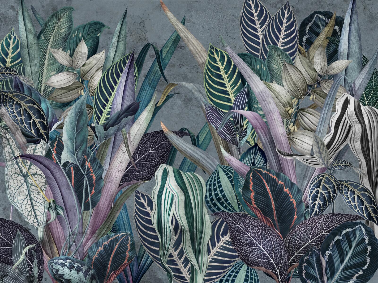 Nevida | Wallcraft - ArchiUp.com - Biblioteka 3D