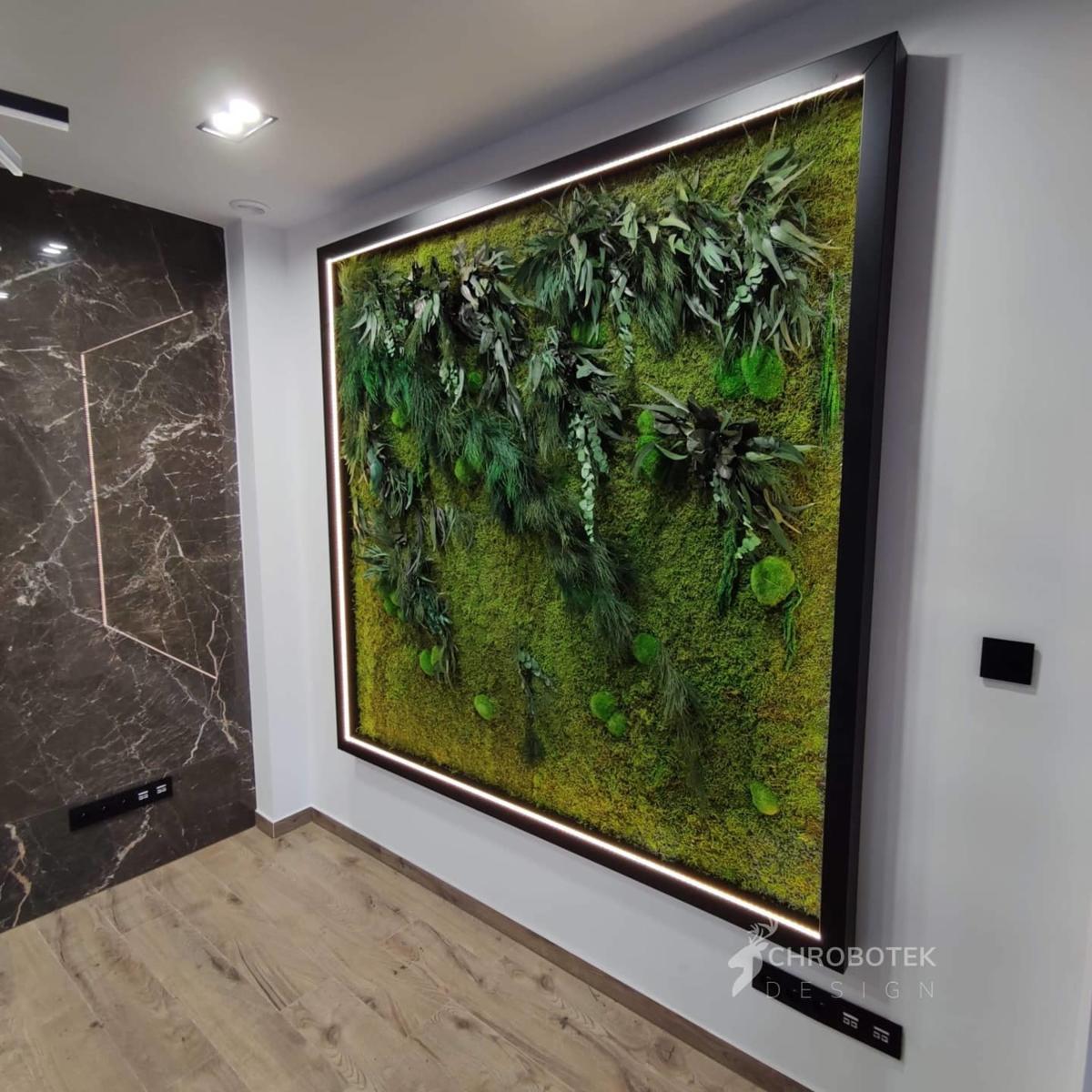 Zielone dekoracje z mchu, Zielone ściany z mchu na wymiar , Chrobotek ...